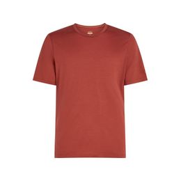 Icebreaker Men 200 Oasis SS Crewe in Bordeaux431 | Gr.: XL