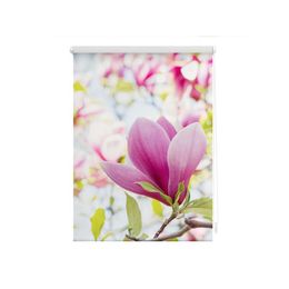 LICHTBLICK Seitenzugrollo in Rosa | Gr.: 45 x 150 cm