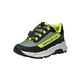 Geox Sneaker in Olive | Gr.: 30