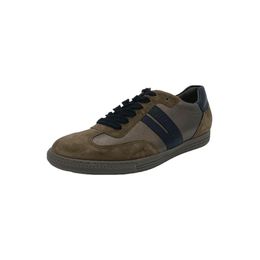Paul Green Sportliche Schnürschuhe in Braun | Gr.: 39