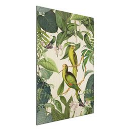 Bilderwelten Alu-Dibond Outdoor Bild Vintage Collage - Papageien im Dschungel