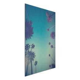 Alu Dibond Outdoor Bild - Tropische Pflanzen Palmen und Himmel II - Wald t&uuml;rkis Tropisch wetterfest B&auml;ume Wohnzimmer Schlafzimmer