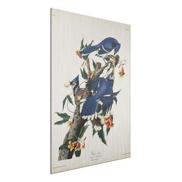 Bilderwelten Alu-Dibond Outdoor Bild Vintage Lehrtafel Blauer H&auml;her