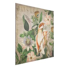 Alu Dibond Outdoor Bild - Colonial Style Collage - Rosa Kakadu - Blumen rosa Vintage wetterfest Retro Wohnzimmer Schlafzimmer