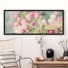 Bilderwelten Bild mit Rahmen Apfelbl&uuml;te Bokeh rosa