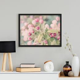 Bilderwelten Bild mit Rahmen Apfelbl&uuml;te Bokeh rosa
