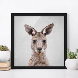 Bilderwelten Bild mit Rahmen K&auml;nguru Knut