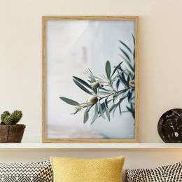 Bilderwelten Bild mit Rahmen gr&uuml;n Tropisch inkl. Rahmung - Zarter bl&uuml;hender Olivenzweig - Pflanzen Wohnzimmer Schlafzimmer