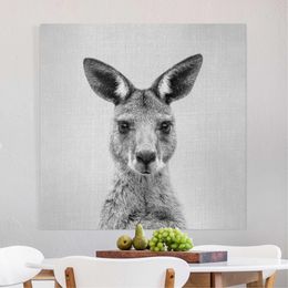 Bilderwelten Leinwandbild Tiere Motiv Kunstdruck schwarz weiss - K&auml;nguru Knut Schwarz Wei&szlig; - Wandbild XXL Kinderzimmer Baby M&auml;dchen Jungen