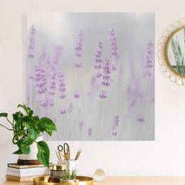Bilderwelten Leinwandbild Blumen Landhaus Kunstdruck violett - Sommer im Lavendelfeld - Wandbild XXL Wohnzimmer Schlafzimmer