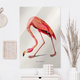 Bilderwelten Glasbild Boho Vogel - Flamingo