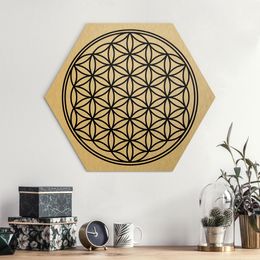Bilderwelten Hexagon-Alu-Dibond Bild Blume des Lebens