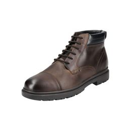 Geox Stiefelette in Coffee | Gr.: 41