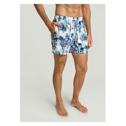 Hackett London Badeshorts in Mehrfarbig | Gr.: XL