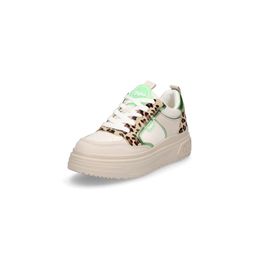 Buffalo Sneaker Vectra Low in Cream Leo | Gr.: 40