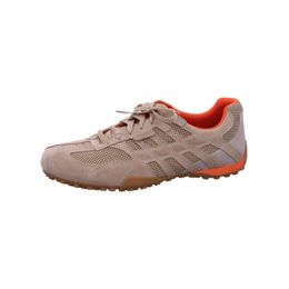 Geox Sneaker Uomo Snake in Beige | Gr.: 46