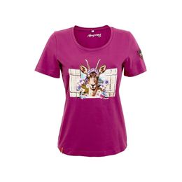 Almgwand T-Shirt MIESENBACHALM in beere | Gr.: XXL
