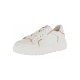 Gabor Sneaker in Puder | Gr.: 42