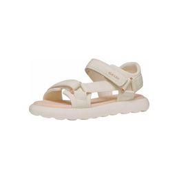 Geox Sandalen in Ivory | Gr.: 30