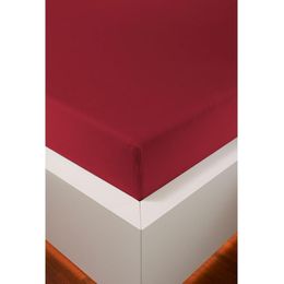 bellana jersey Spannbetttuch Bellana Boxspring Deluxe in rubin | Gr.: 100 x 200