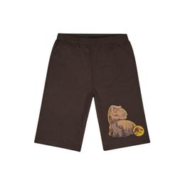 Hose kurz Shorts Jurassic World T-Rex in Braun | Gr.: 134/140