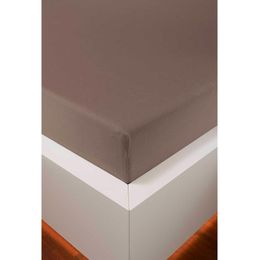 bellana jersey Spannbetttuch Edel-Jersey Elasthan in kakao | Gr.: 90 x 200