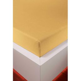 bellana jersey Spannbetttuch Edel-Jersey Elasthan in zitrone | Gr.: 90 x 200