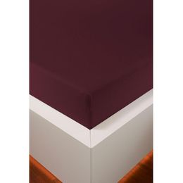bellana jersey Spannbetttuch Edel-Jersey Elasthan in bordeaux | Gr.: 90 x 200