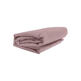 GMD Living Spannbetttuch ELASTAN CLASSIC in Distel | Gr.: 140-160 x 200-220