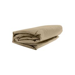 GMD Living Spannbetttuch JERSEY CLASSIC in Cappuccino | Gr.: 180-200 x 200 cm