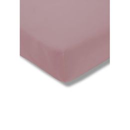 Estella Spannbetttuch Samt-Velour in flieder | Gr.: 100 x 200