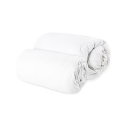 Aspero Winter Daunendecke 2-teilig in Extrawarm | Gr.: 135 x 200 cm