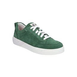Josef Seibel Sneaker Wilma 03 in tanne | Gr.: 37