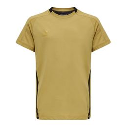 Hummel T-Shirt Hmlcima Kinder in ANTIQUE GOLD | Gr.: 164