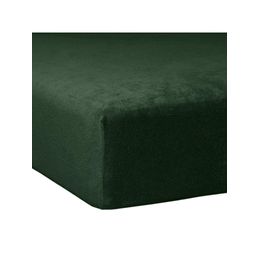Traumschlaf Spannbettlaken Flausch Frottee in tanne | Gr.: 140x200 cm - 160x200 cm