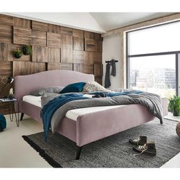 Pharao24.de Polsterbett in Altrosa Velours modern