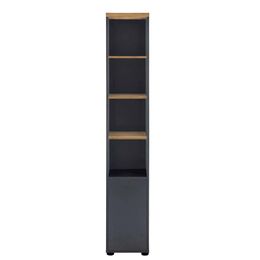 Pharao24.de Hochschrank Seitenschrank in Anthrazit und Wildeichefarben