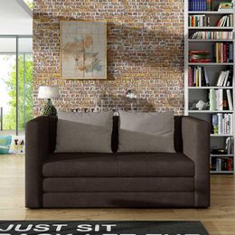 Pharao24.de Schlafsofa Zweisitzer Sofa mit Armlehnen und zwei Sitzplätzen