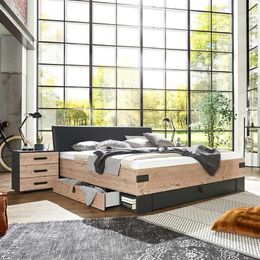 Pharao24.de Schubladenbett im Industry und Loft Stil Tannenfarben und Dunkelgrau