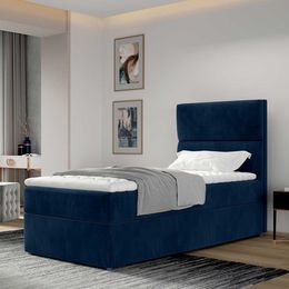 Pharao24.de Boxbett Polsterbett mit Bettkasten aus Velours
