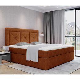 Pharao24.de Doppelbett Polsterbett mit Bettkasten in Rotbraun