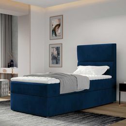 Pharao24.de Einzelbett Boxbett in Dunkelblau Liegefläche 90x200 cm