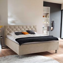 Pharao24.de Polster Bett Microfaser in Beige Chromfarben