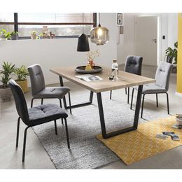 Pharao24.de in Grau und Sonoma Eiche Loft Design (fünfteilig)