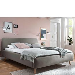 Pharao24.de Bettgestell in Taupe Webstoff modern