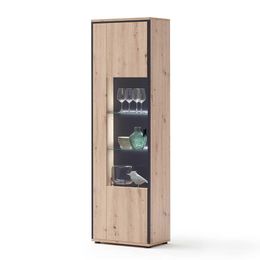 Pharao24.de Standvitrine in Eichefarben und Anthrazit 210 cm hoch