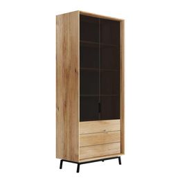 Pharao24.de Esszimmervitrinenschrank im Industry und Loft Stil Glastüren
