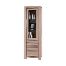 Pharao24.de Vitrine aus Wildeiche Massivholz Schubladen