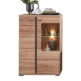 Pharao24.de Moderner Vitrinenschrank in Eschefarben Wildeichefarben