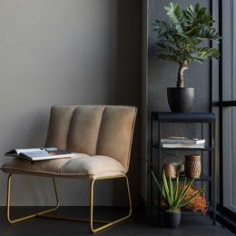 Pharao24.de Bügelgestell Sessel in Beige Goldfarben